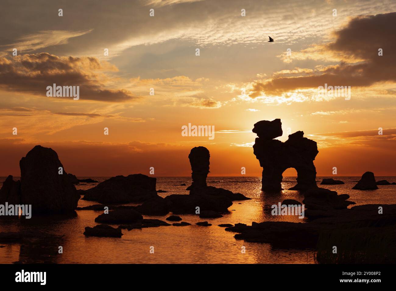 The famous limestone rocks (rauklar) at the coast of the swedish island ...