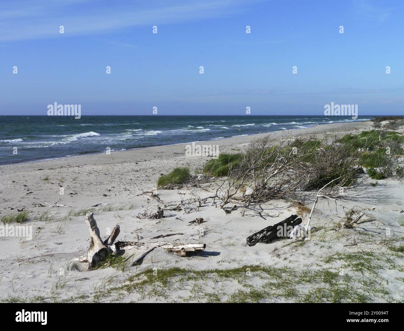 Natural beach on the island of Anholt Stock Photo - Alamy