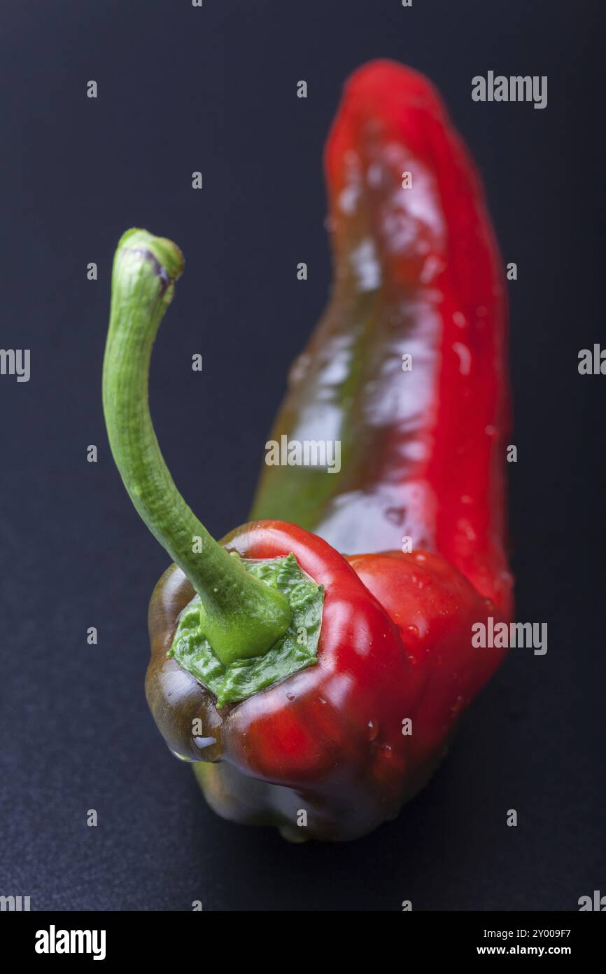 Closeup of a red chilli pepper Stock Photo - Alamy