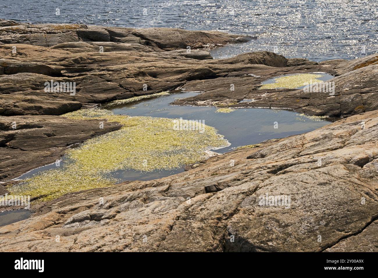 Separate entities hi-res stock photography and images - Alamy