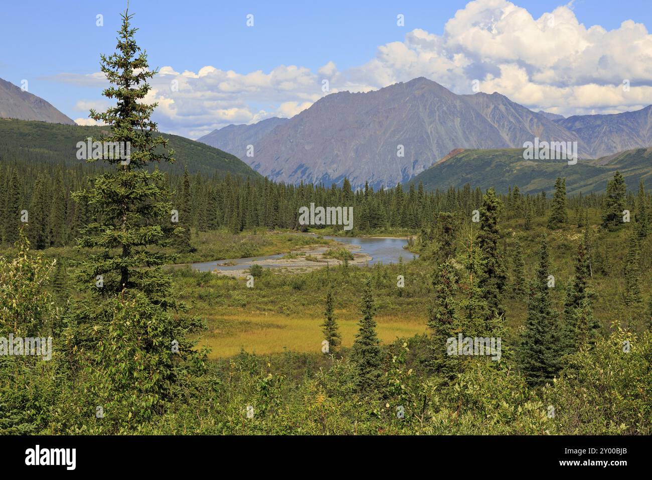 Swampy landscape alaska hi-res stock photography and images - Alamy
