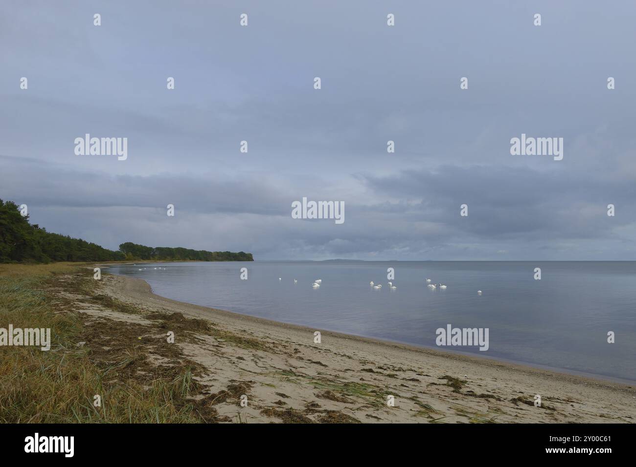 Palmer Ort is the southernmost point of the German Baltic Sea. Palmer ...