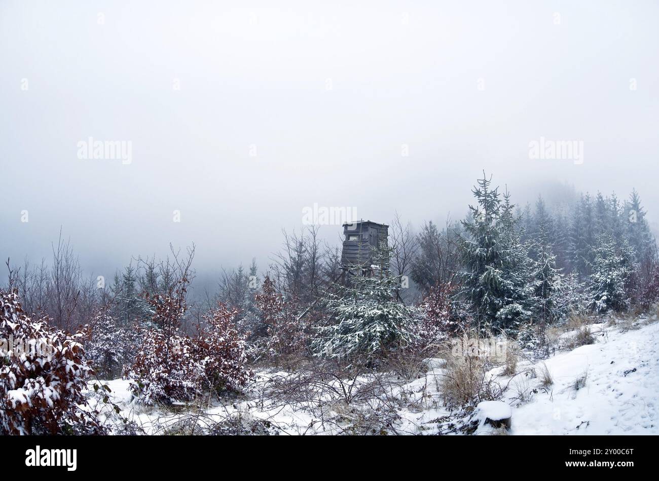 Hunter hut in winter misty forest covered with snow Stock Photo - Alamy