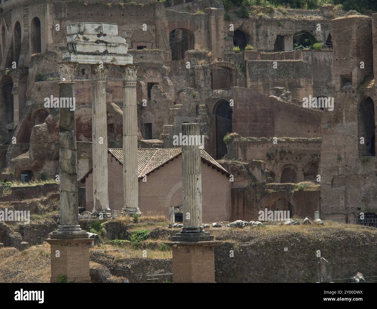 Ancient ruins with dominant columns and brick structures, part of a ...