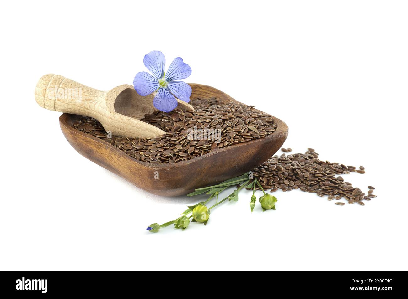 Flowering linseed crop linum Cut Out Stock Images & Pictures - Alamy