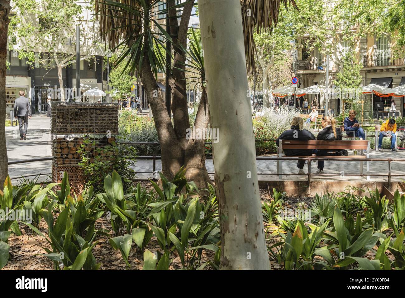 The Eixample superblock, car-free and pedestrianised area in the centre ...