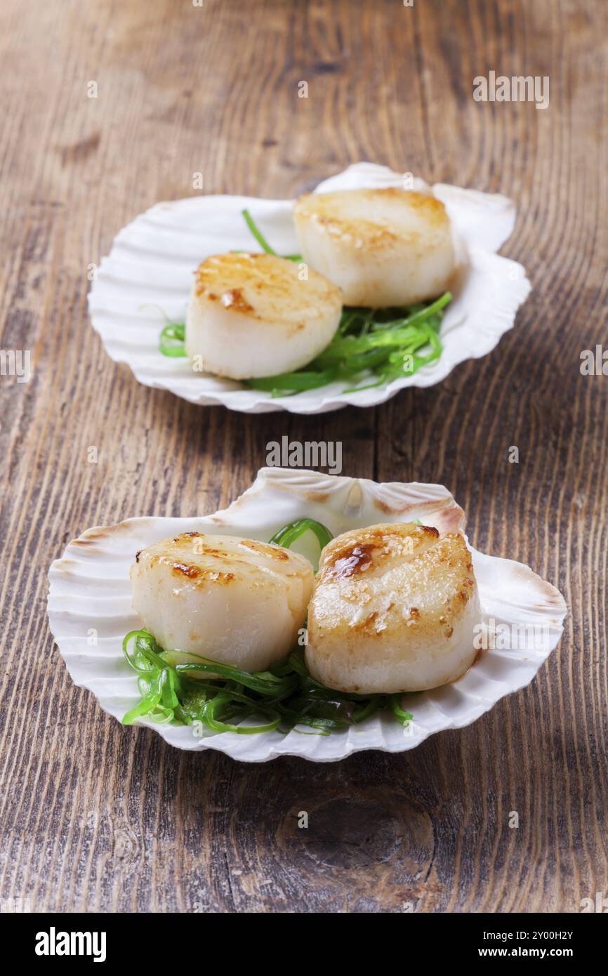 Grilled scallops in shells hi-res stock photography and images - Alamy