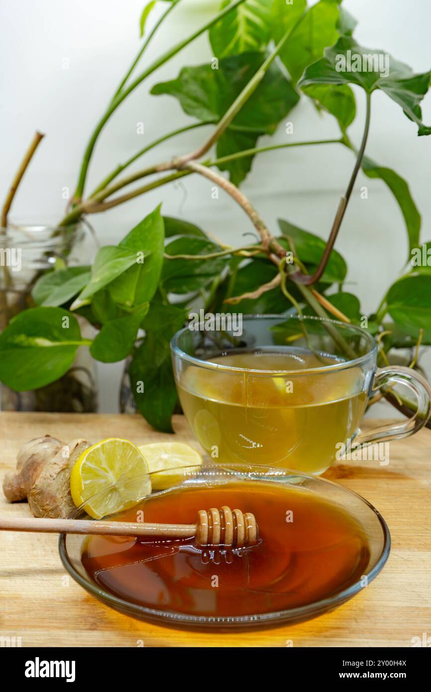 Honey Tea Lemon Receipt with Ginger Hot lemon with Honey and Green Tea ...