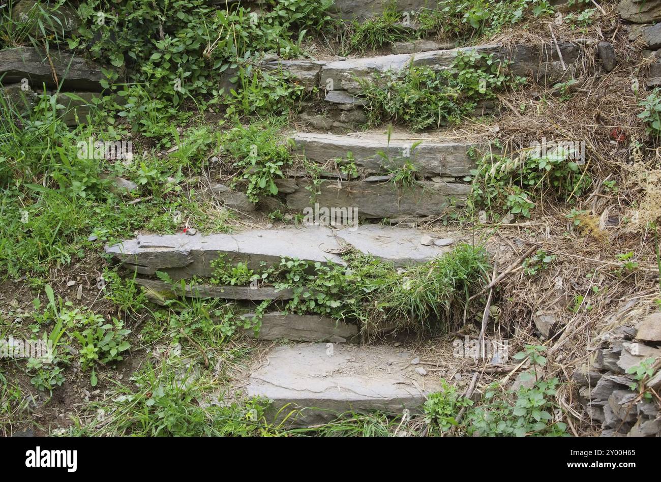 Natural stone staircase, natural stone staircase 01 Stock Photo - Alamy
