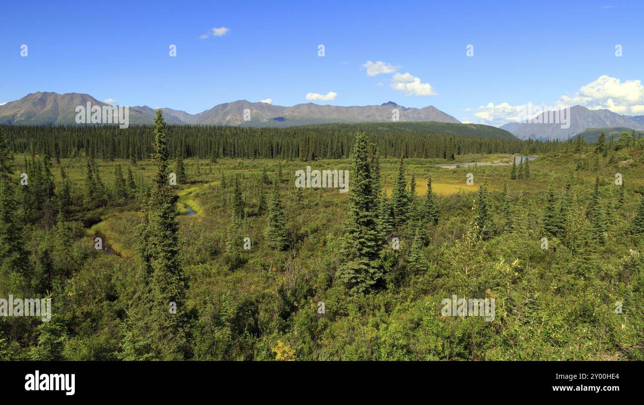Swampy landscape alaska hi-res stock photography and images - Alamy