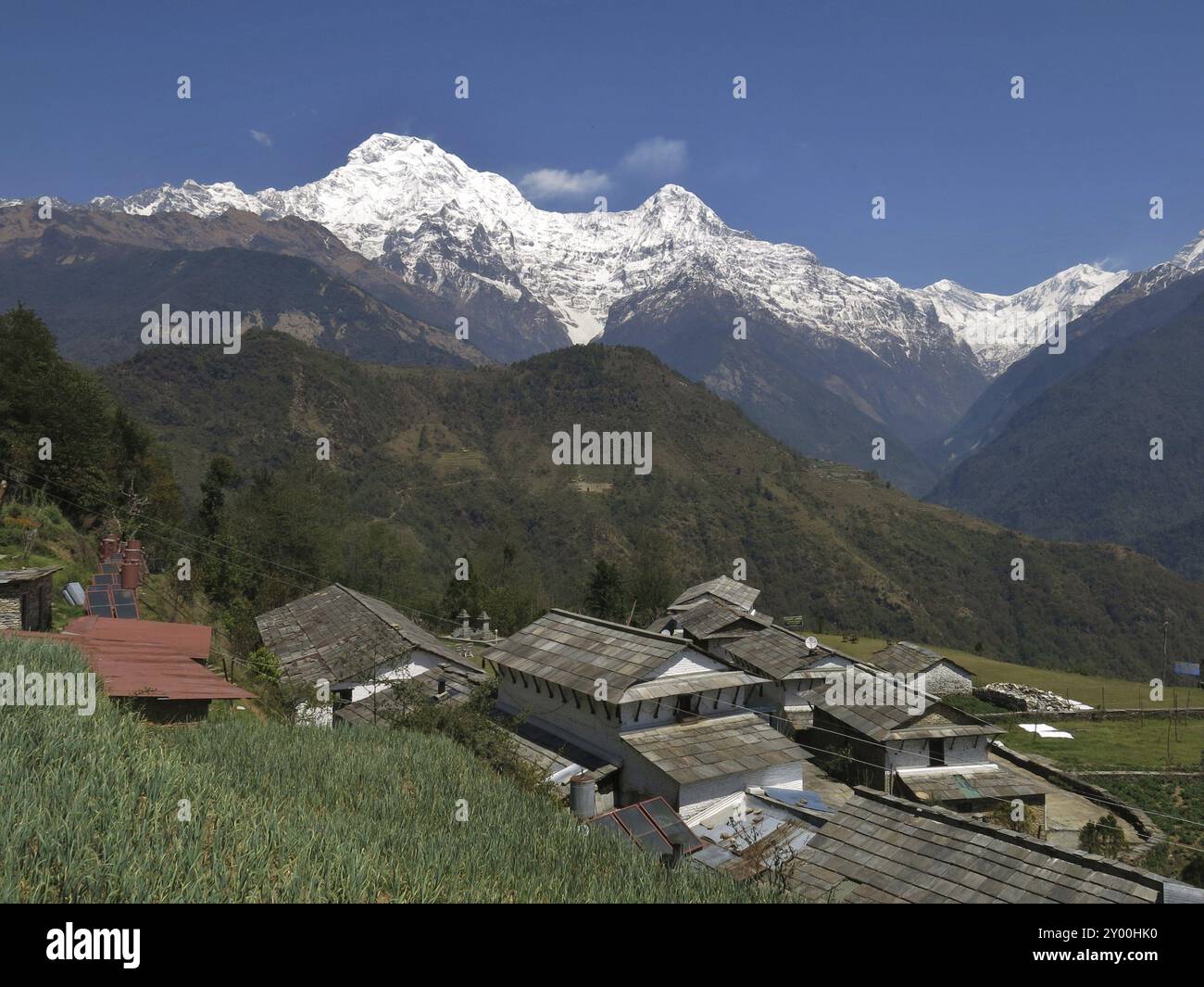 Village houses ghandruk nepal hi-res stock photography and images - Alamy