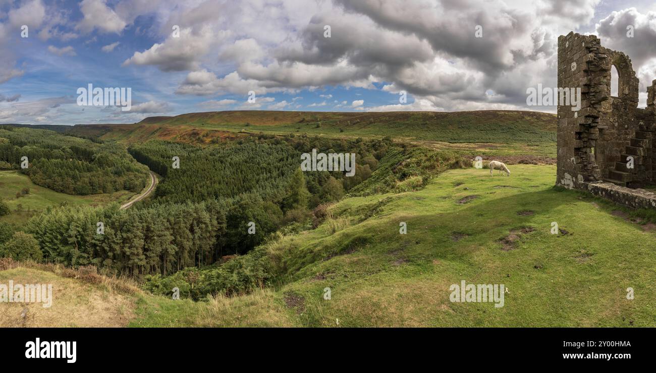 North York Moors landscape, looking over Newtondale with Skelton Tower ...