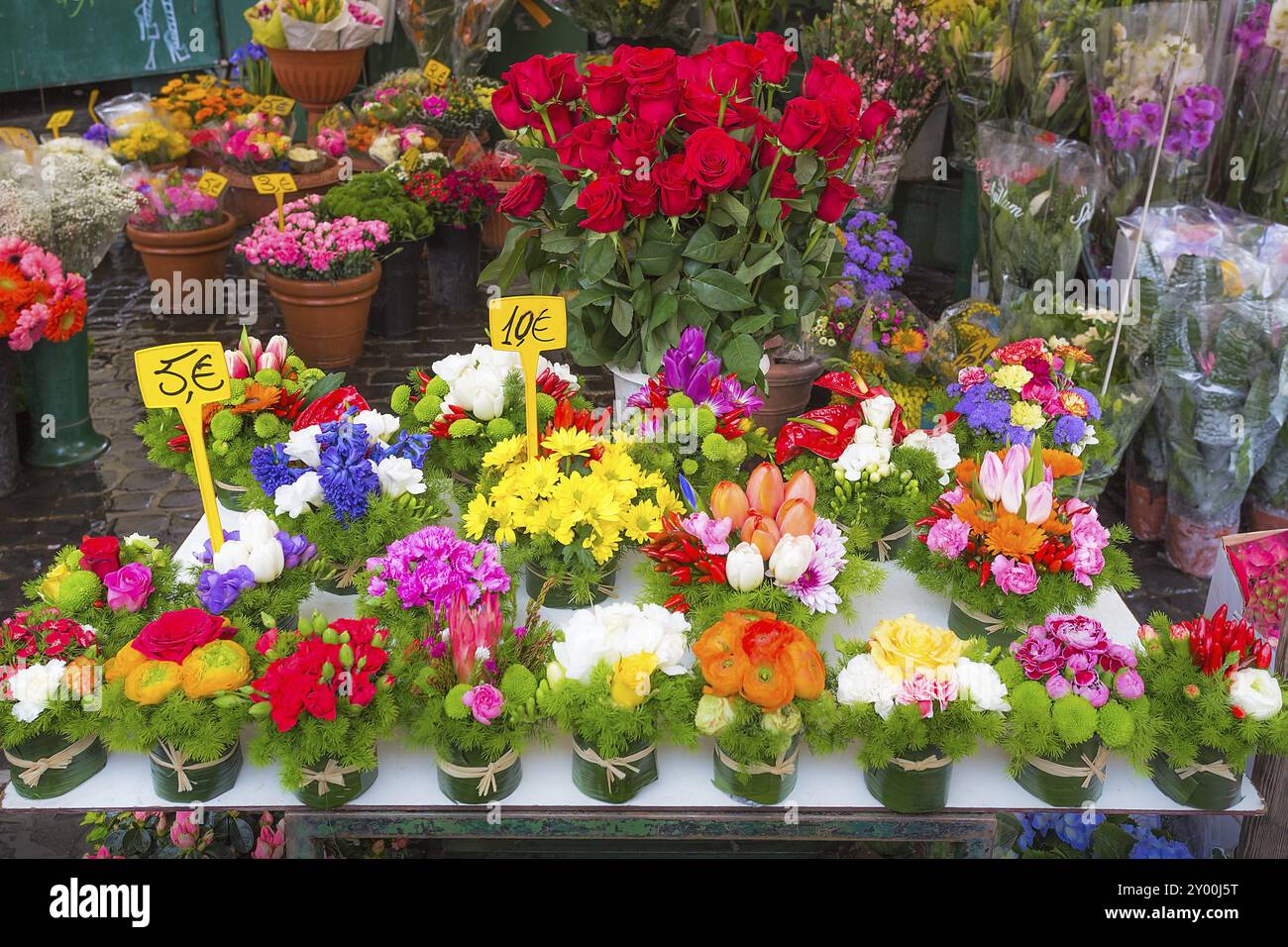 Selection of spring flowers at a market Stock Photo - Alamy