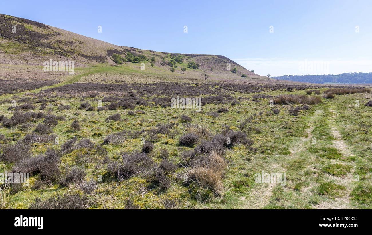 Levisham Moor, North York Moors National Park near Levisham, North ...