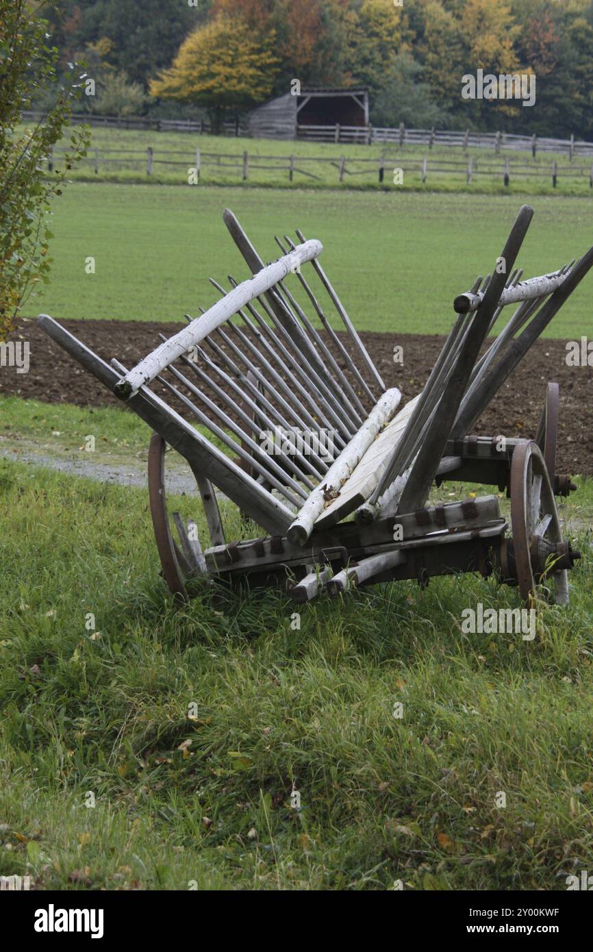 Ladder carts hi-res stock photography and images - Alamy