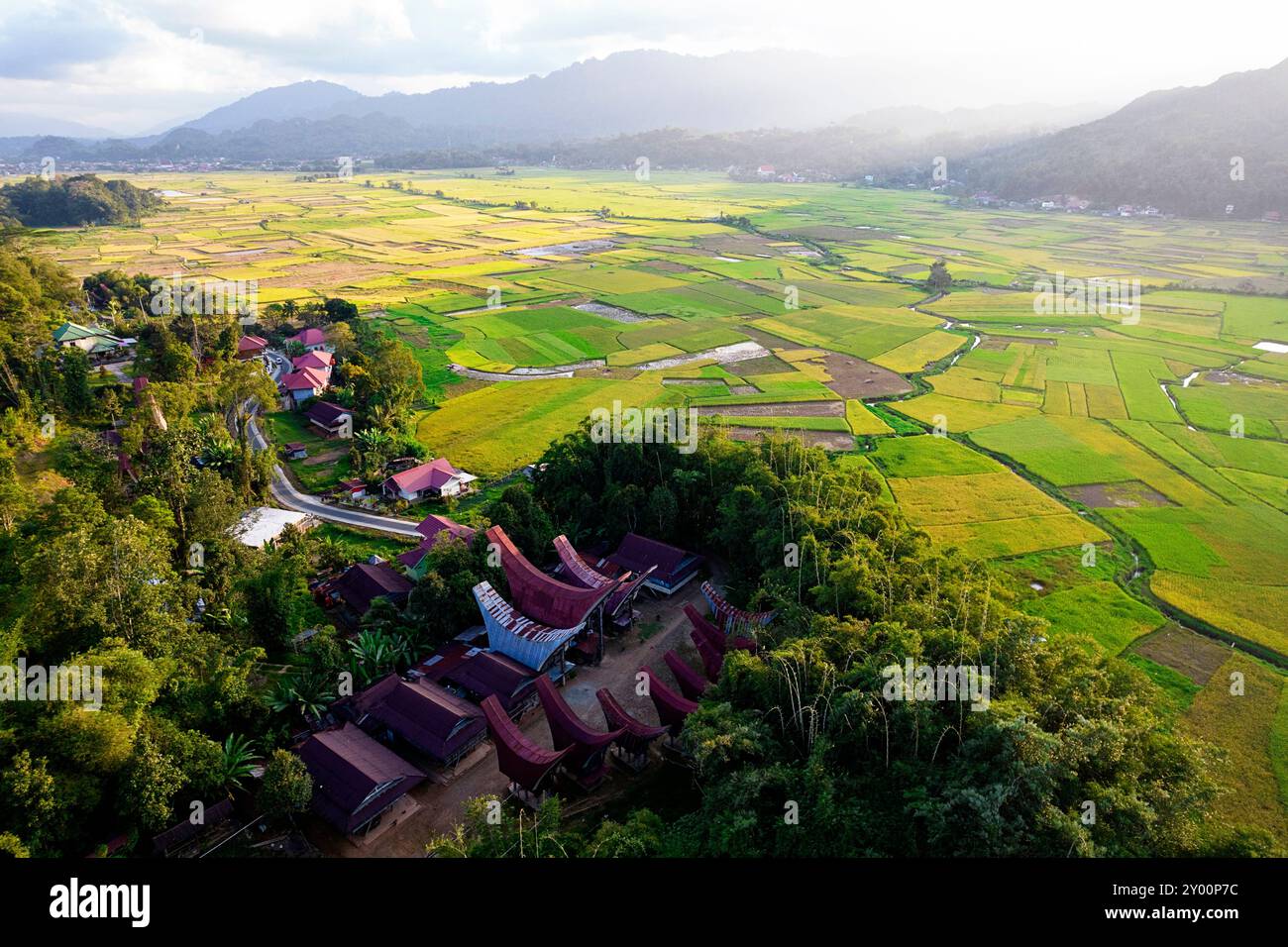 Aerial view of traditional tana toraja houses surrounded with lush ...