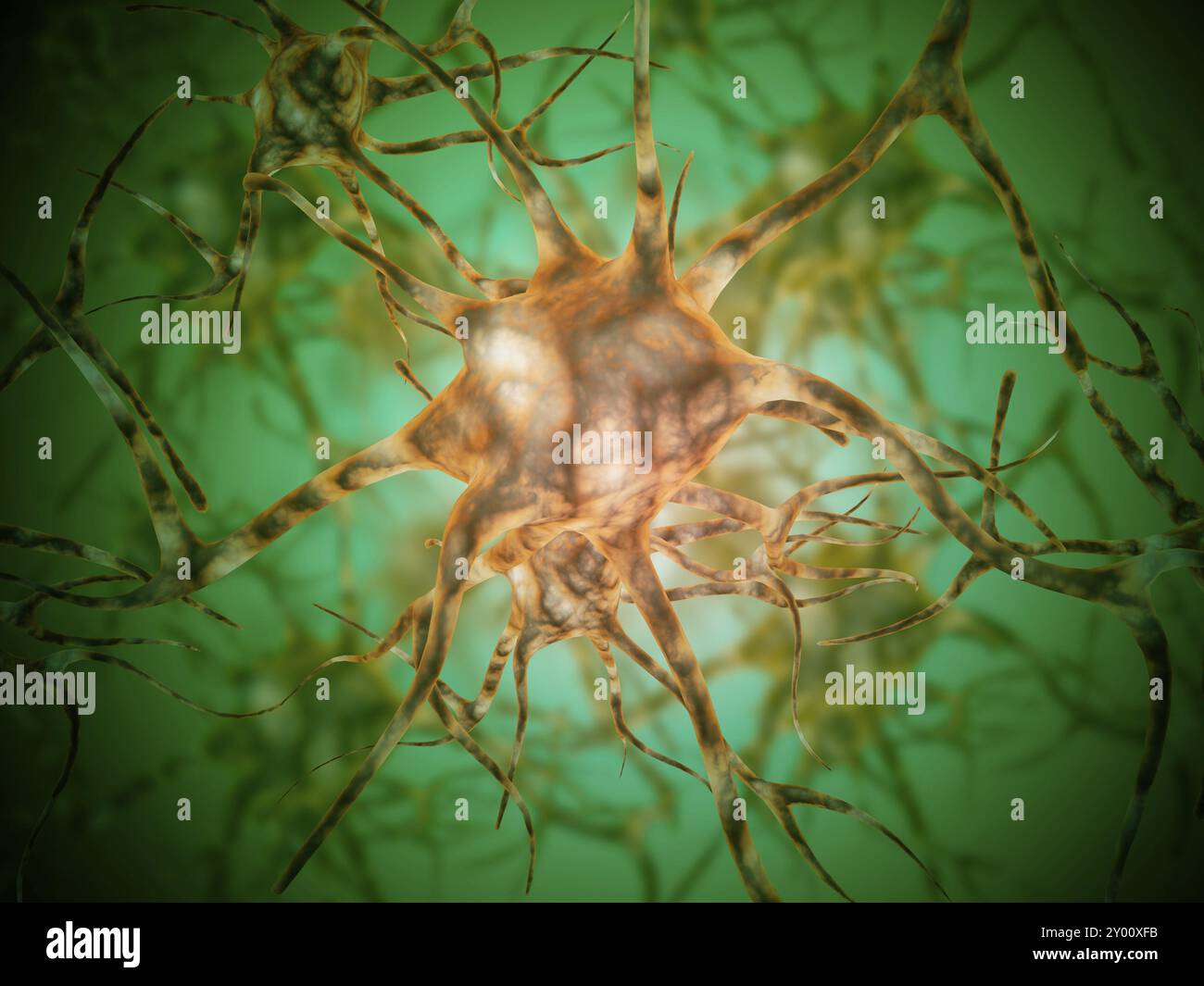 Nervous system overview hi-res stock photography and images - Alamy