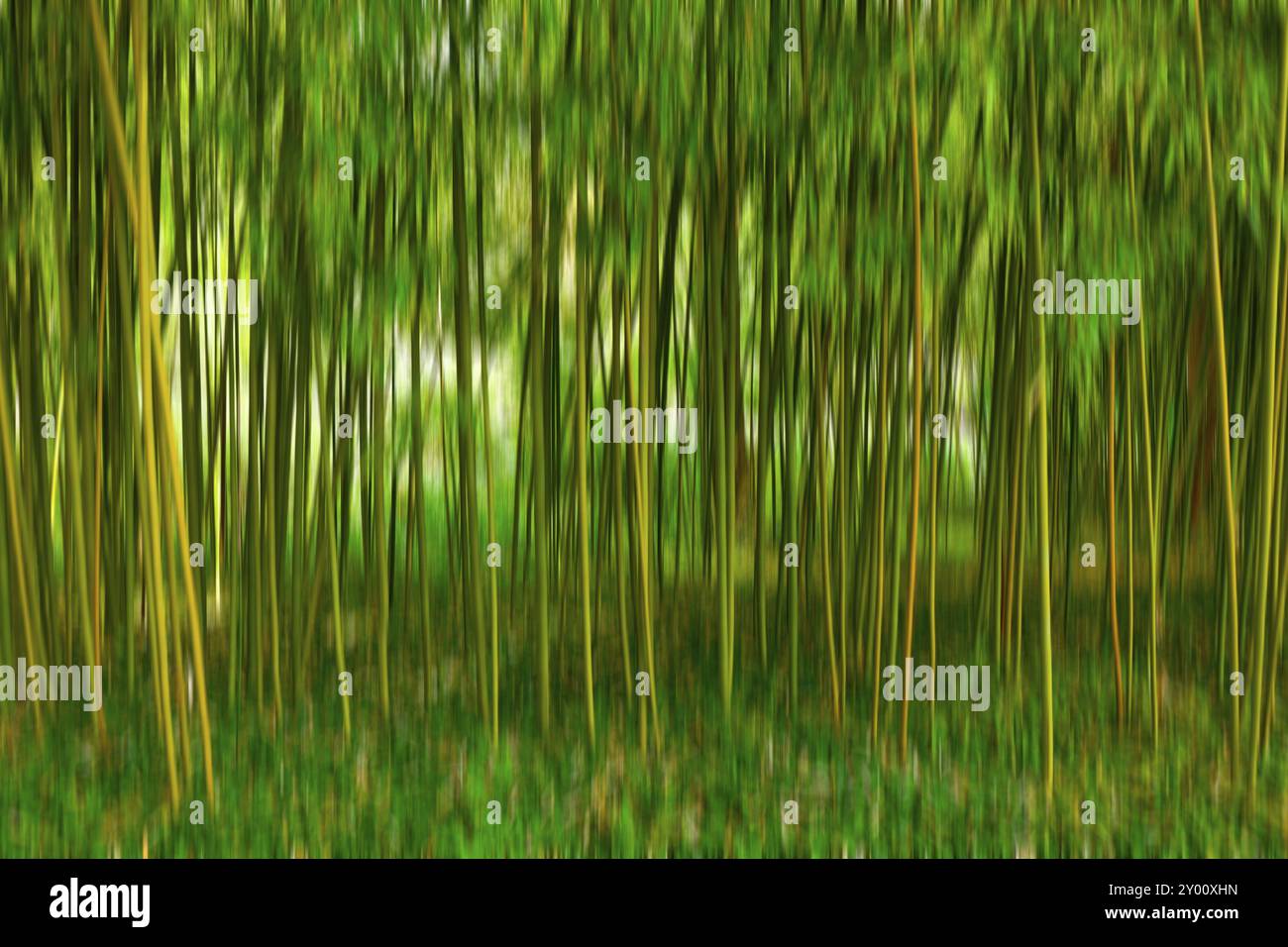 Abstract bamboo sticks, made from camera movement Stock Photo - Alamy