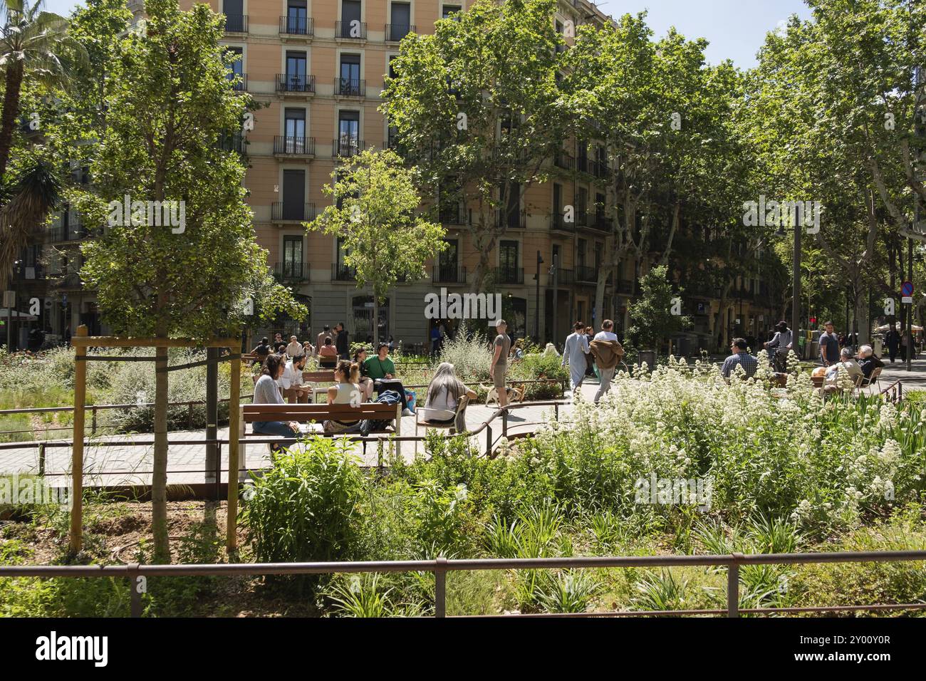 The Eixample superblock, car-free and pedestrianised area in the centre ...