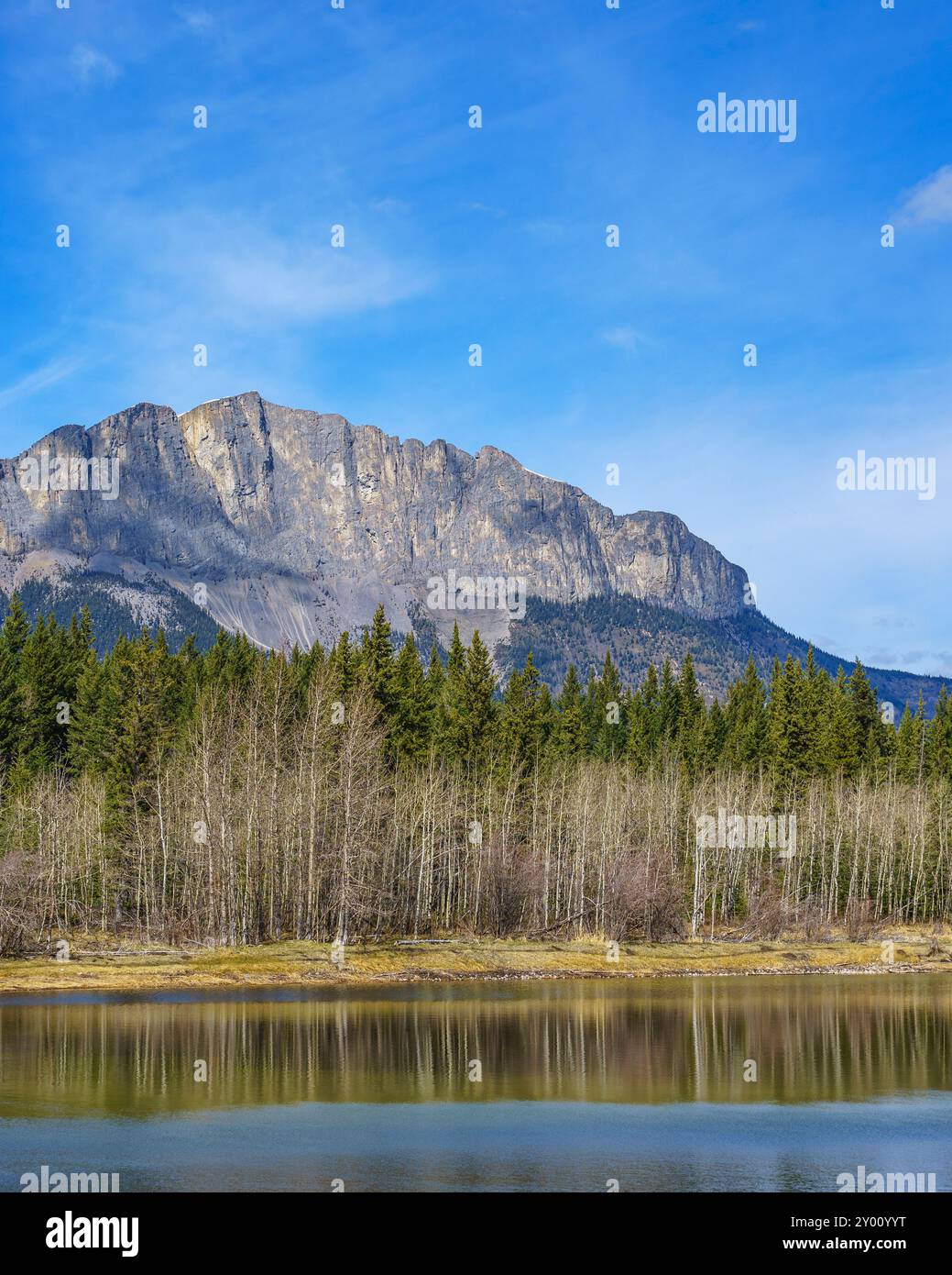 Mount yamnuska hi-res stock photography and images - Alamy