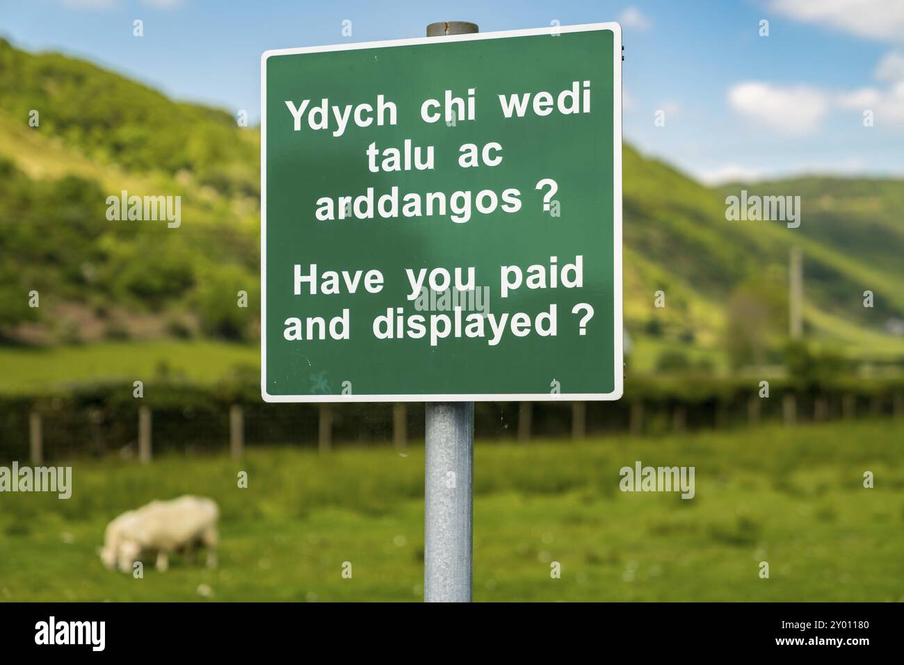 Sign: Have you paid and displayed (Welsh English) with sheep in the ...