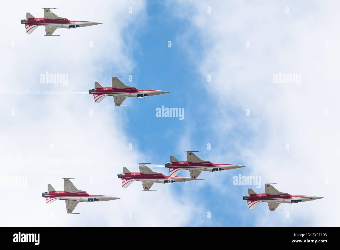 The famous Patrouille Suisse aerobatic team of the Swiss Air Force and their Northrop F-5E Tiger ...