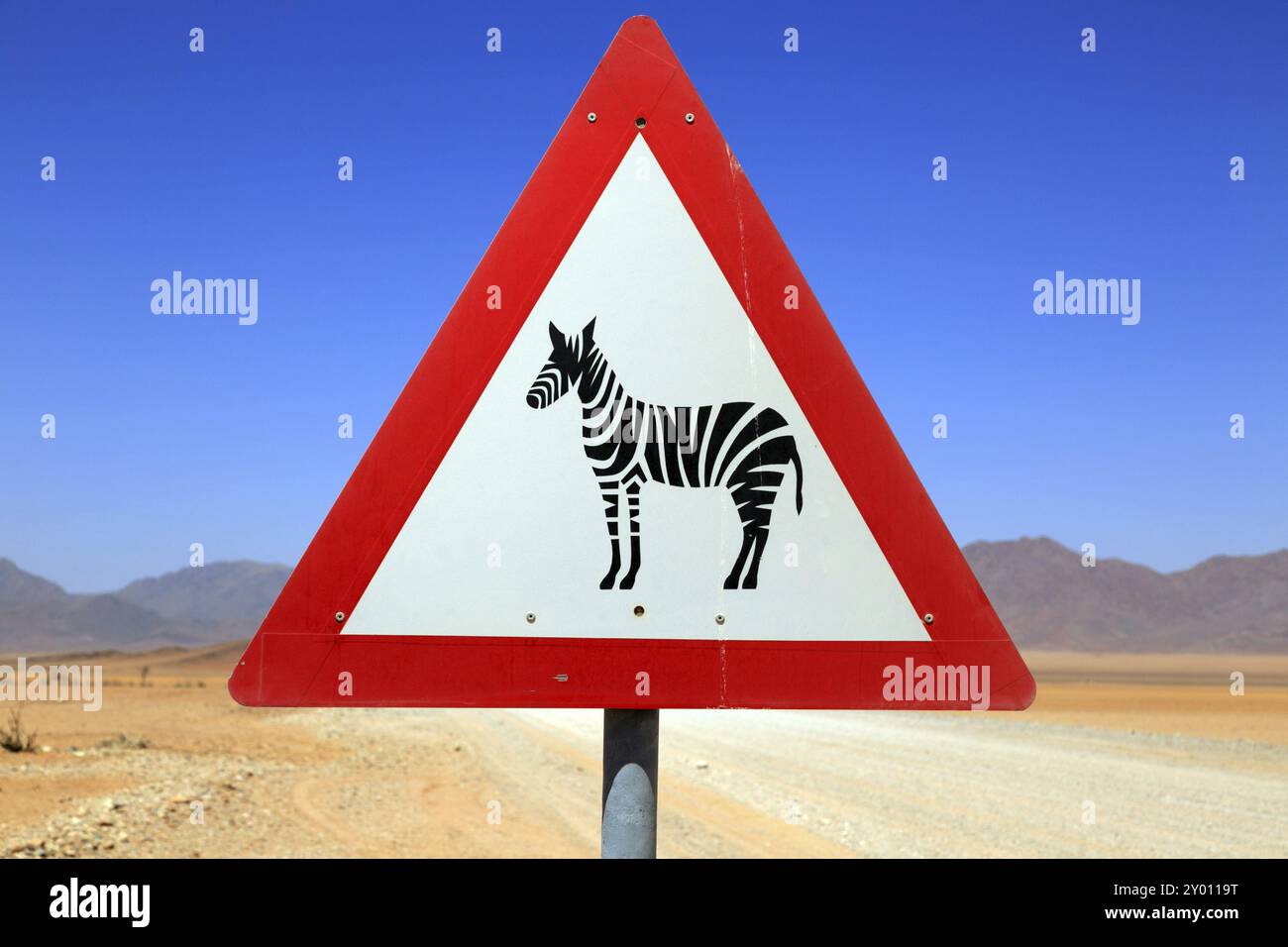 Sign Zebras cross a gravel track in the Namibrand Nature Reserve in ...