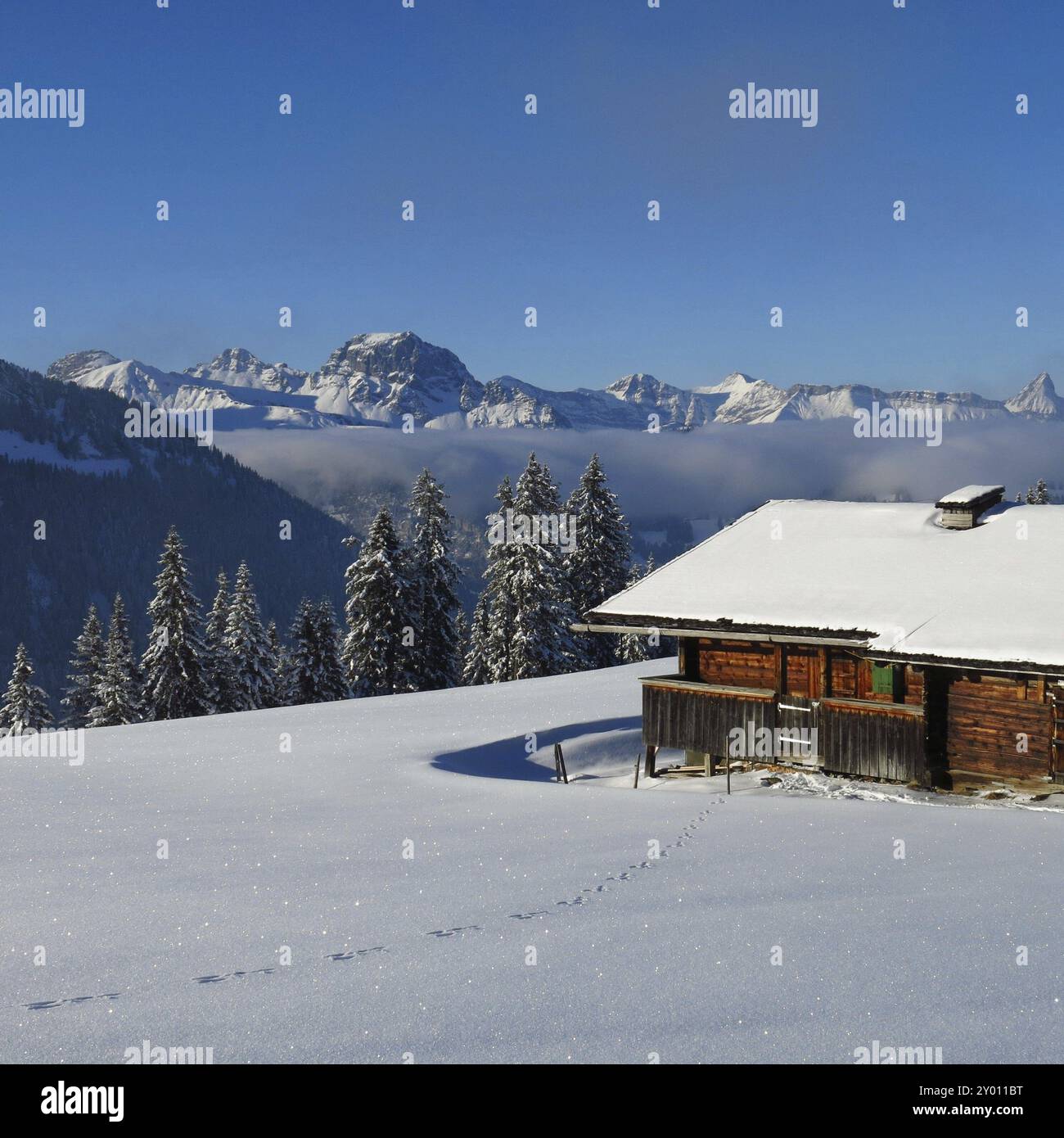 Wintery landscape in the Swiss Alps. Scene on Mt Wispile, Gstaad ...