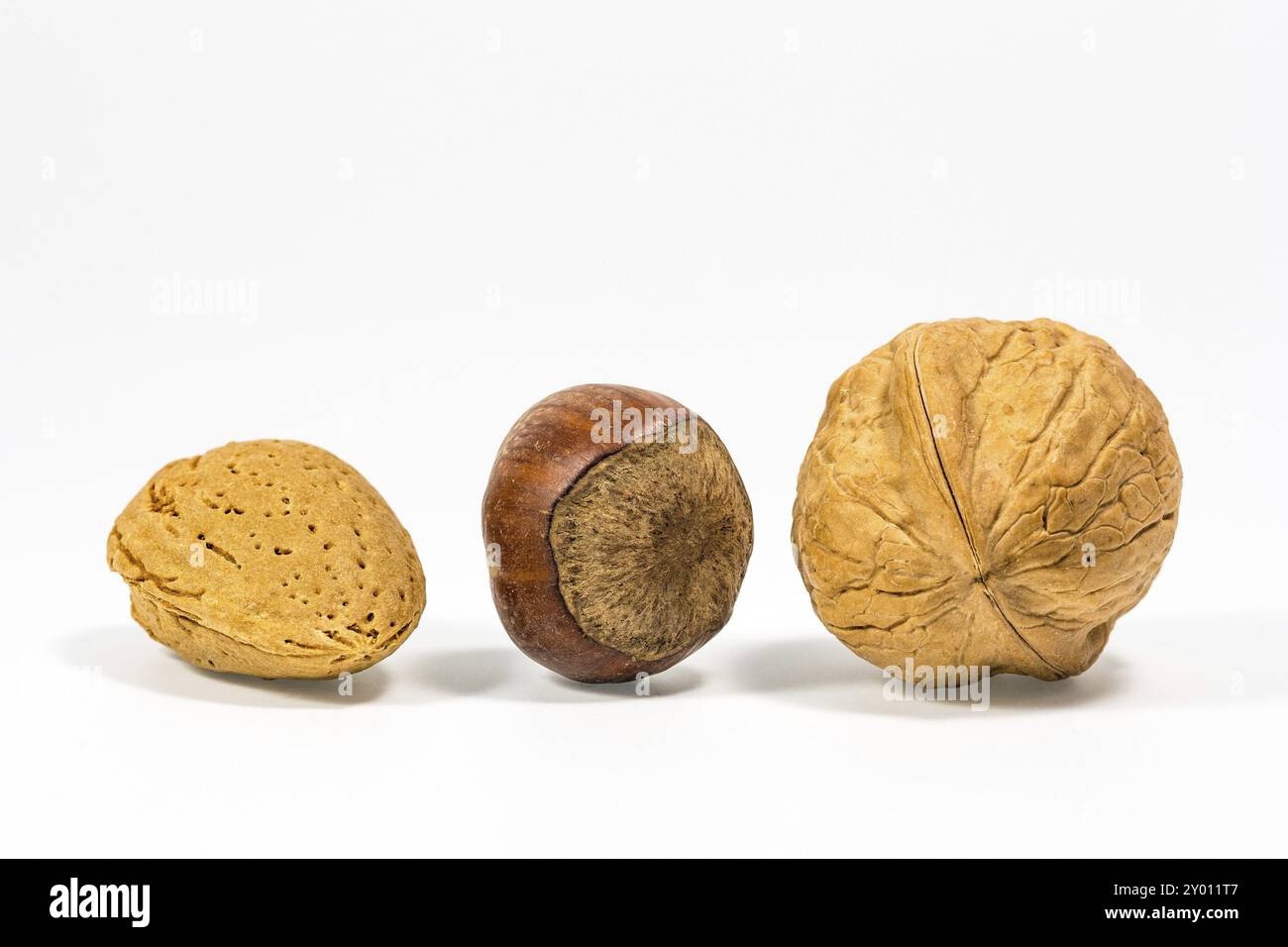 Three nuts cropped in front of a white background Stock Photo - Alamy