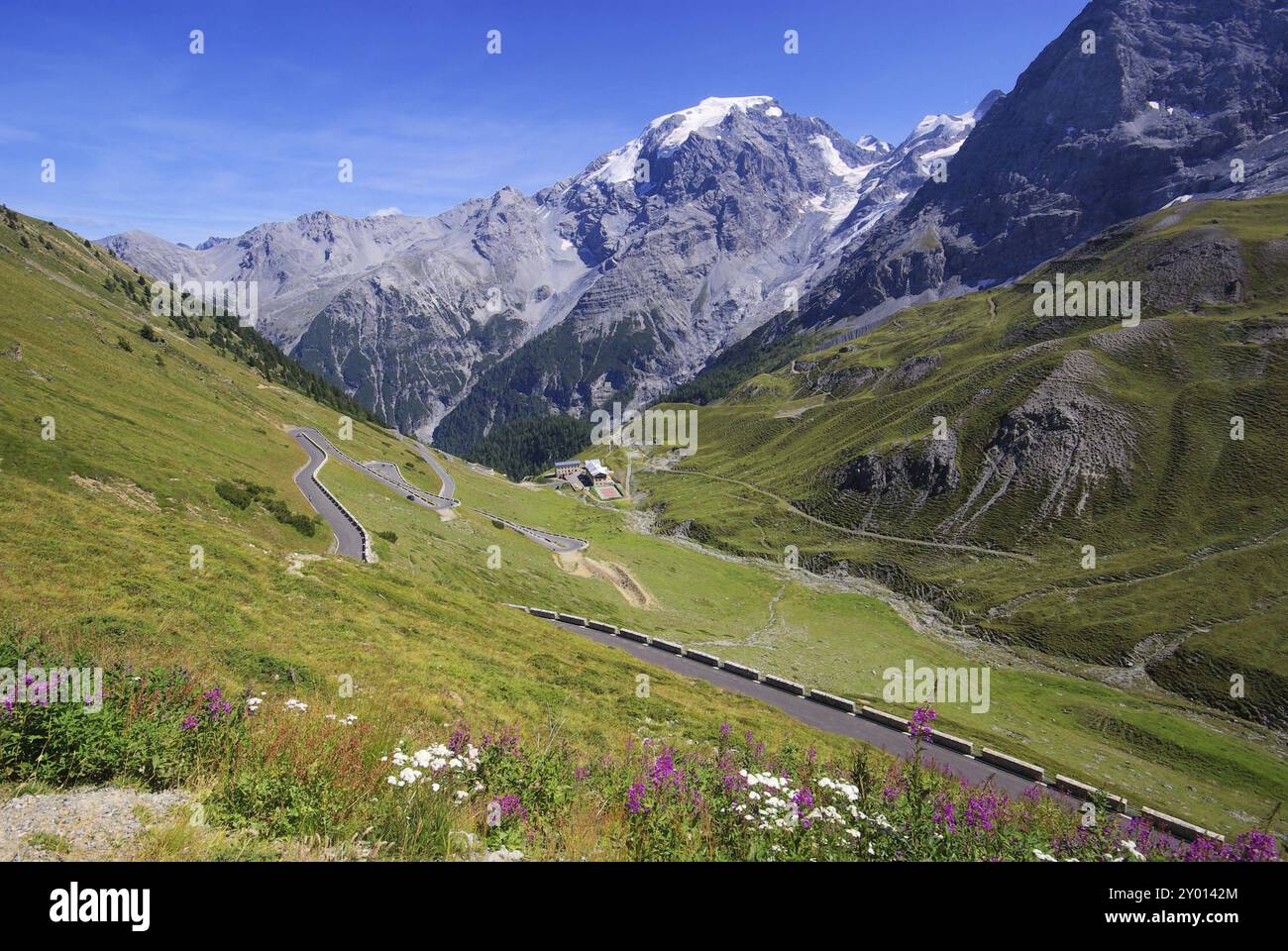 Stelvio Pass, Stelvio Pass Stock Photo - Alamy