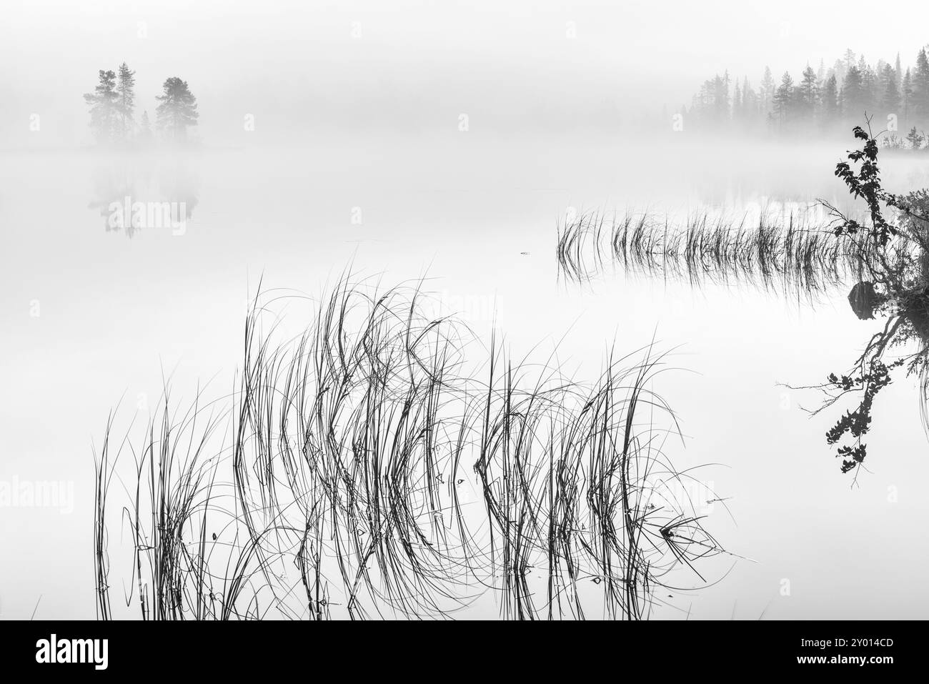 First light day dawn Black and White Stock Photos & Images - Alamy