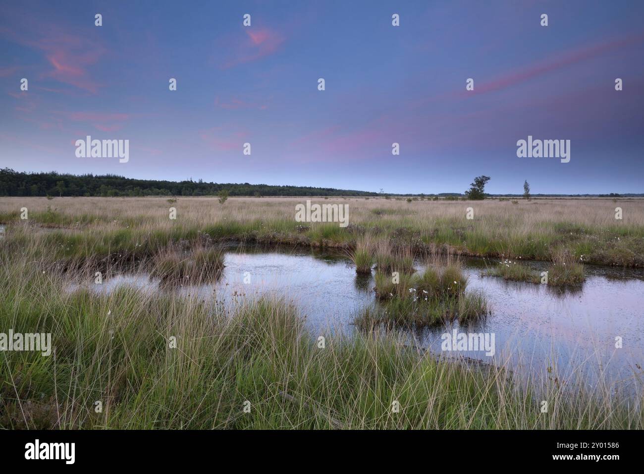 Reflective lakes in the evening with dusk landscapes hi-res stock ...