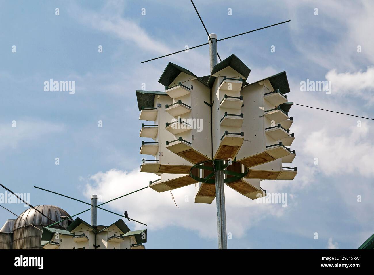 Purple martin birdhouse hi-res stock photography and images - Alamy