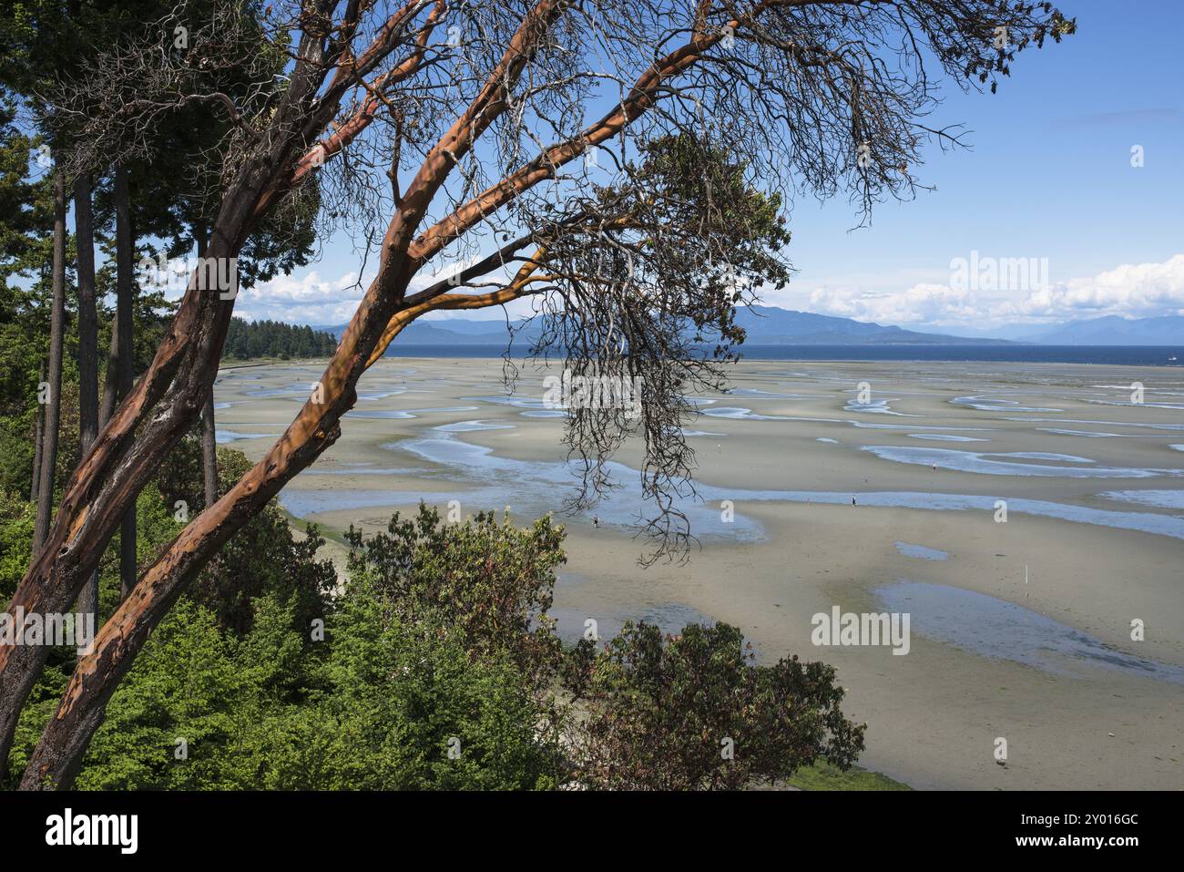Rathtrevor Beach at low tide in Parksville on Vancouver Island Canada ...