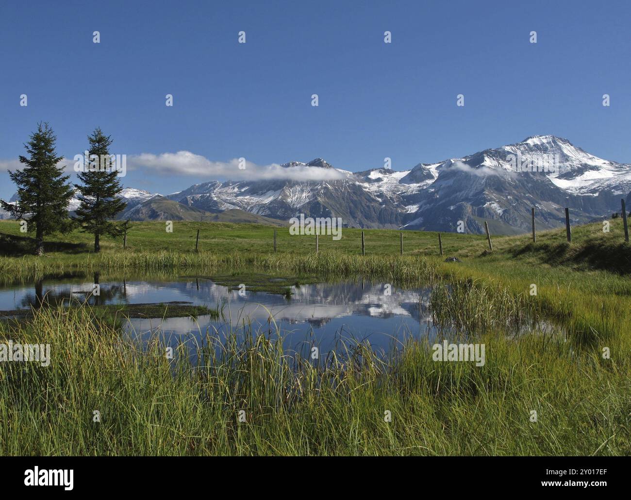 Landscape in the Bernese Oberland Stock Photo - Alamy