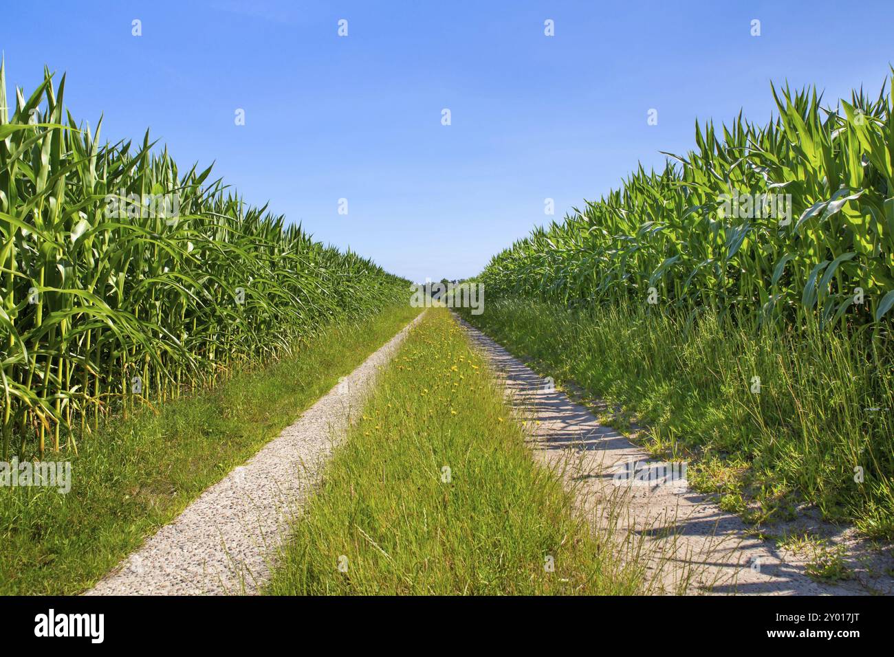 Agricultural sand paths hi-res stock photography and images - Alamy