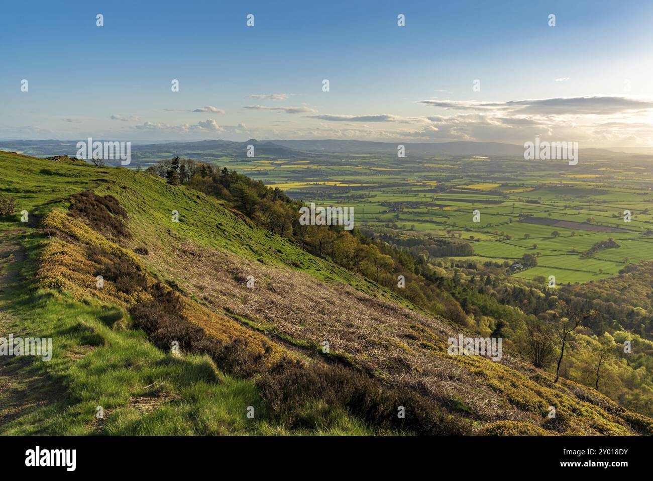 Wellington shropshire uk hi-res stock photography and images - Alamy