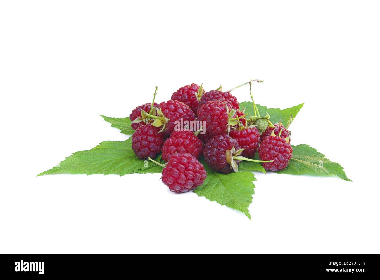 Raspberry, raspberry 17 Stock Photo - Alamy
