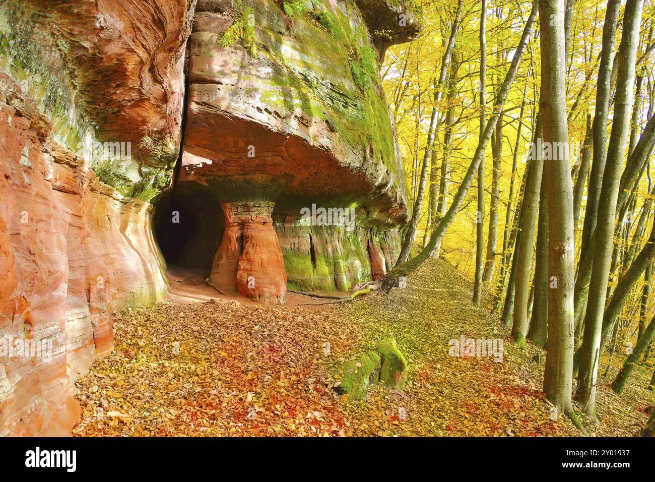 Sandstone rocks in the dahner felsenland hi-res stock photography and ...