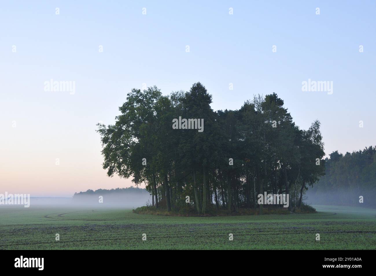 Cold morning with fog in autumn. Cold morning, in Upper Lusatia Stock ...