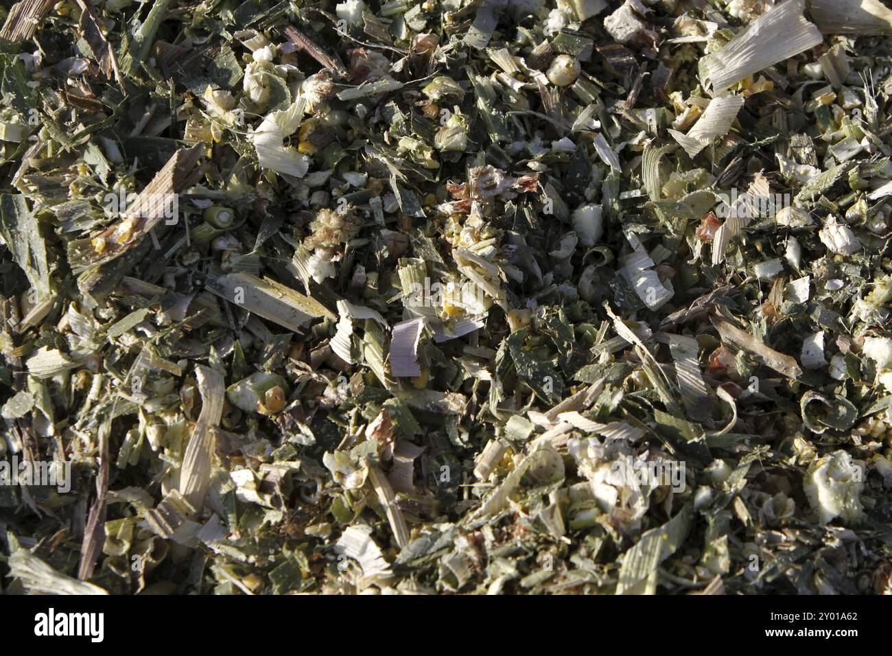 Agrarian forage hi-res stock photography and images - Alamy