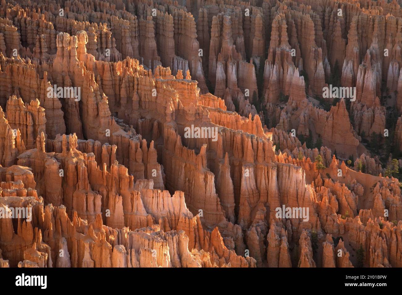 The amphitheatre in Bryce Canyon at sunset Stock Photo - Alamy