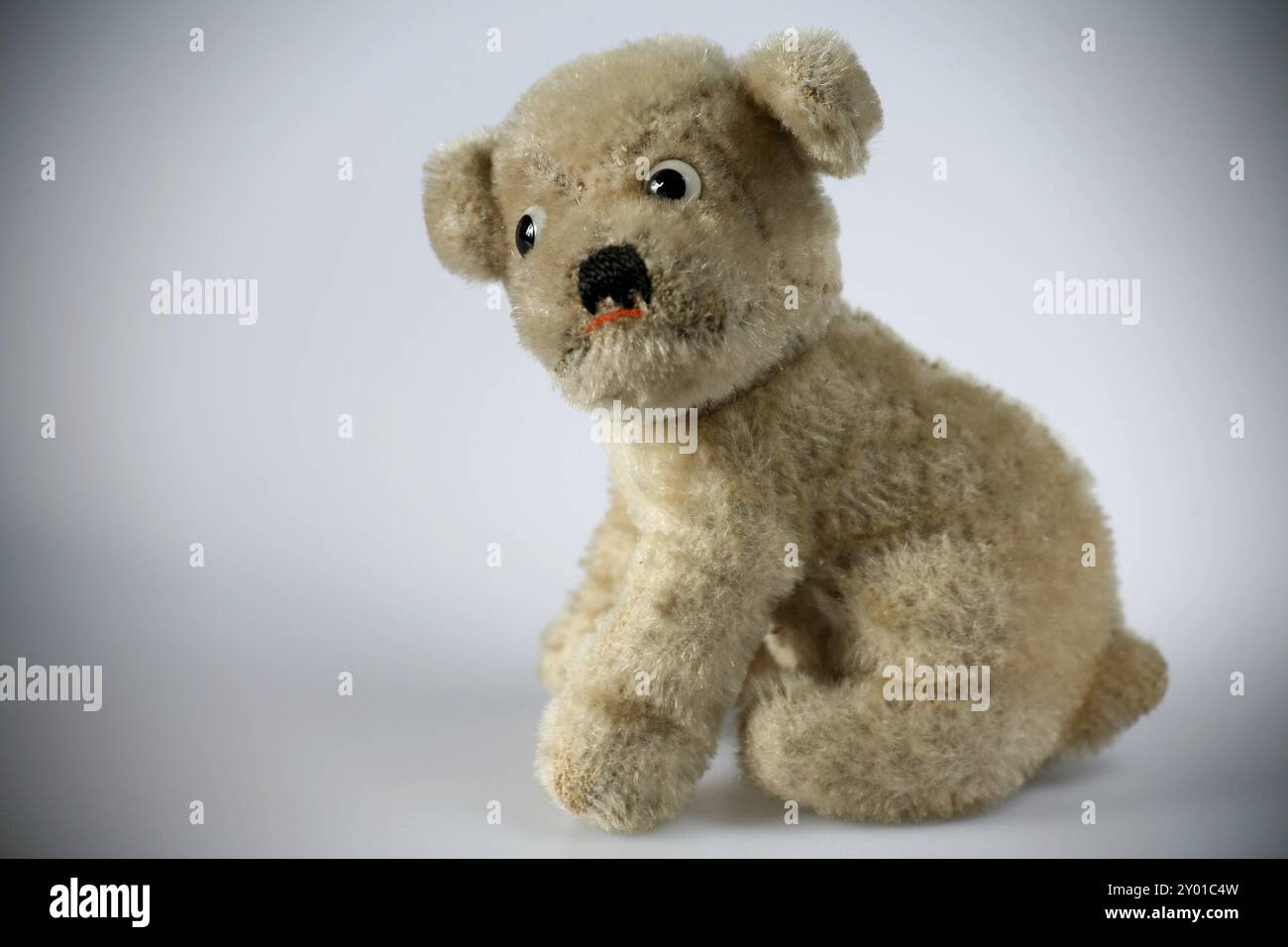 Lepidopteran forms hi-res stock photography and images - Alamy