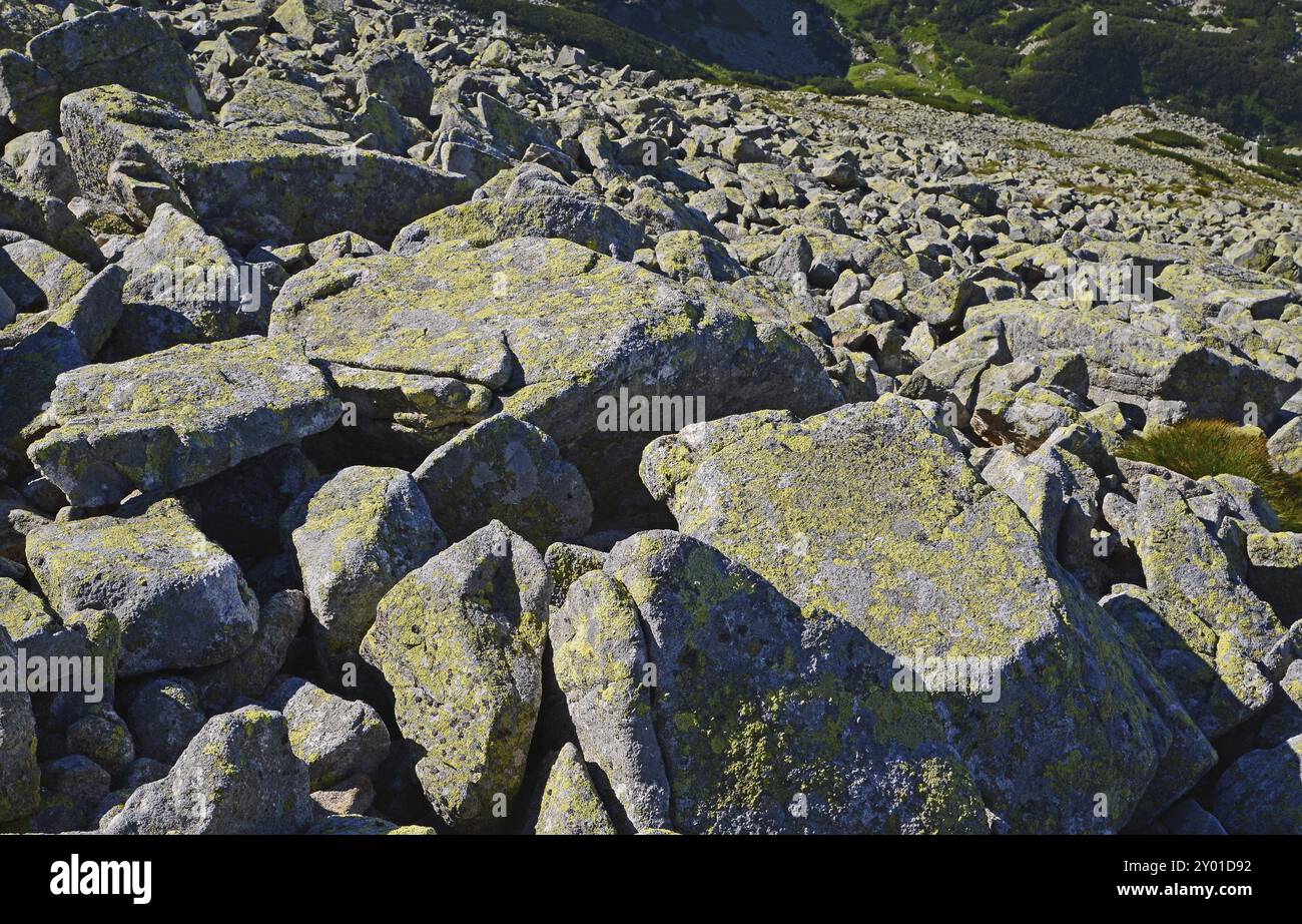 Rock debris on the south side of Swinica Stock Photo - Alamy