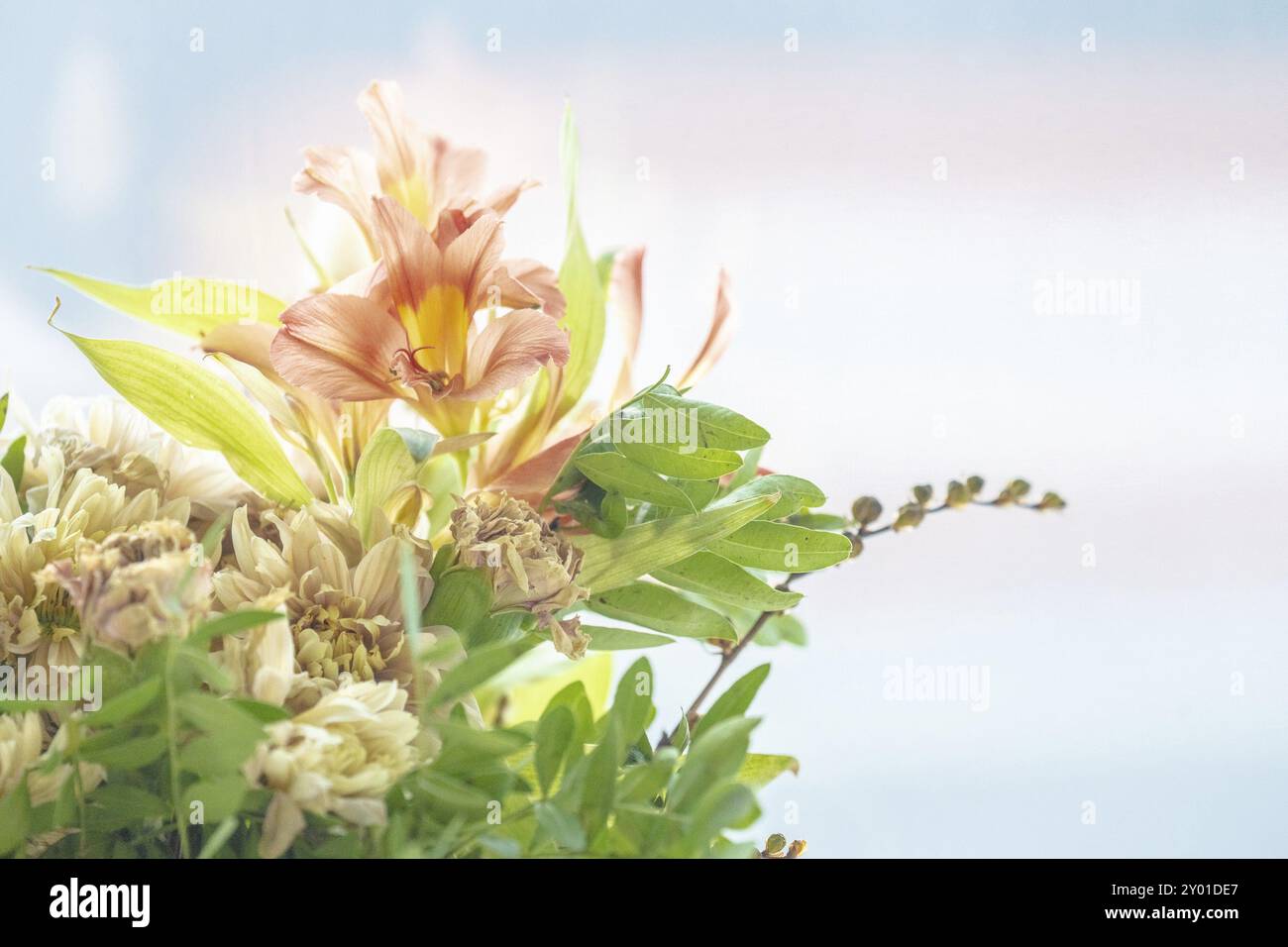 Autumn cut flower arrangement hi-res stock photography and images - Alamy