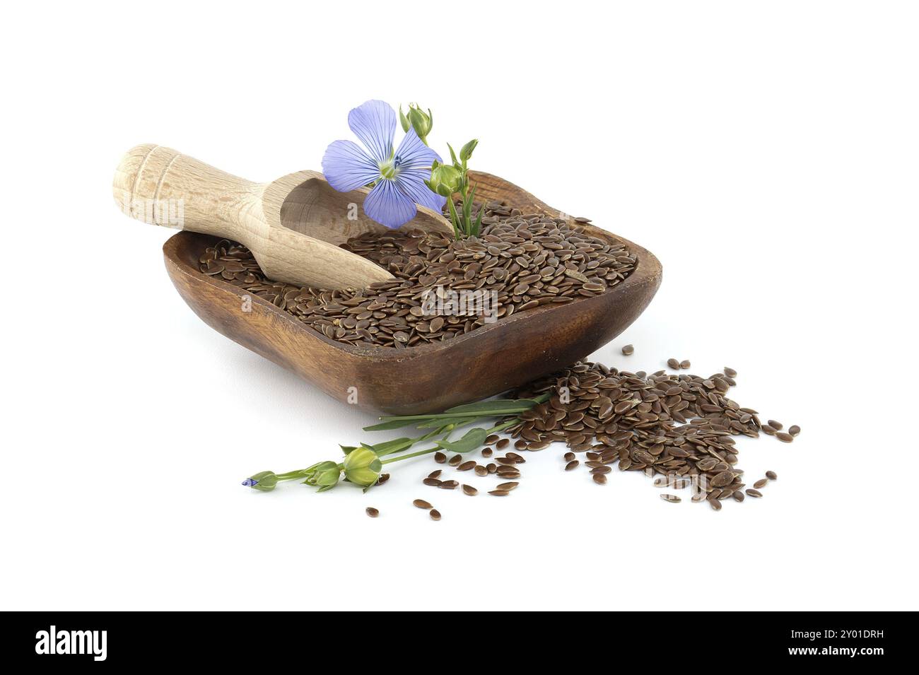 Flowering linseed crop linum Cut Out Stock Images & Pictures - Alamy