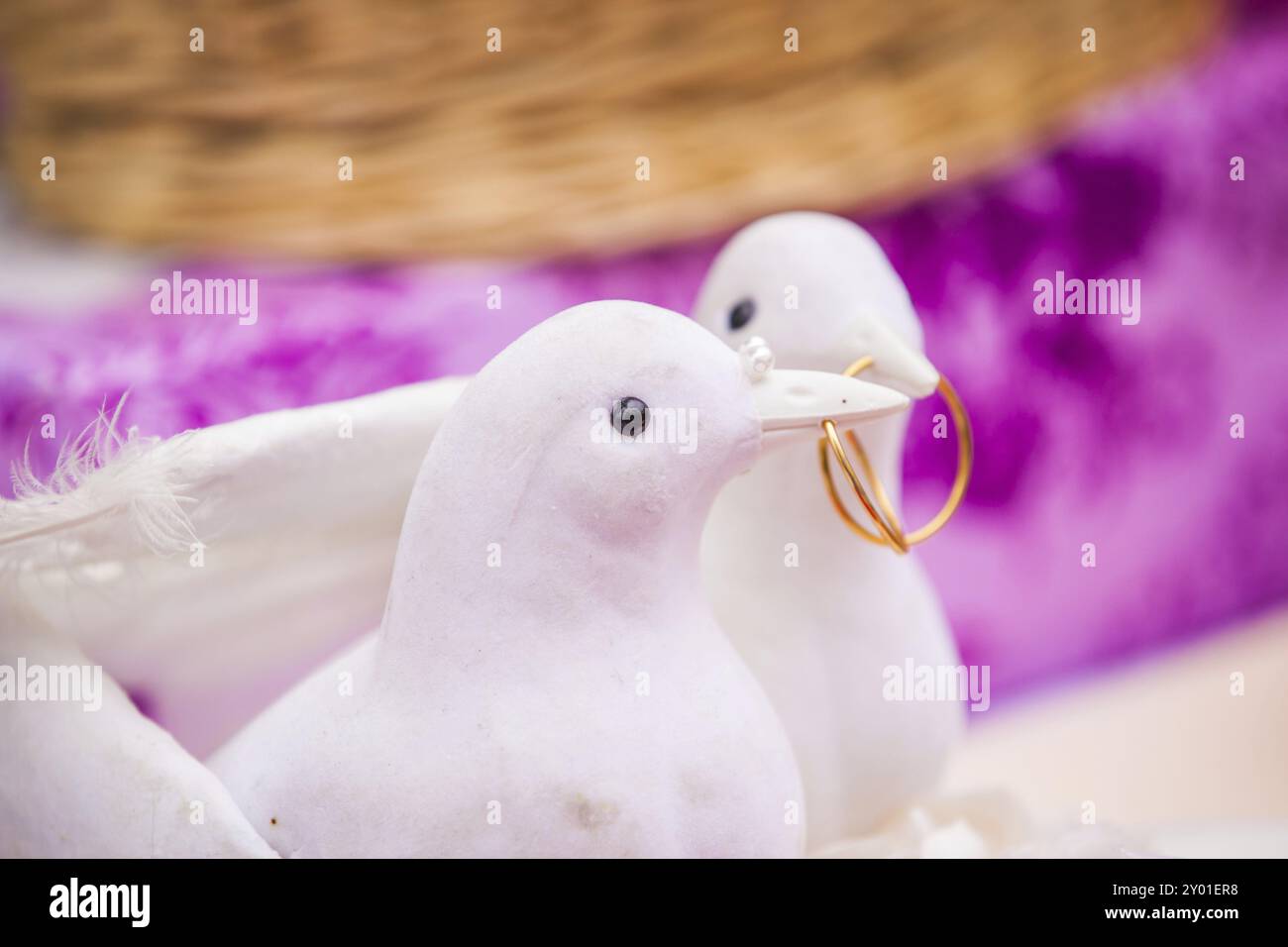 Two white doves with golden wedding rings Stock Photo - Alamy