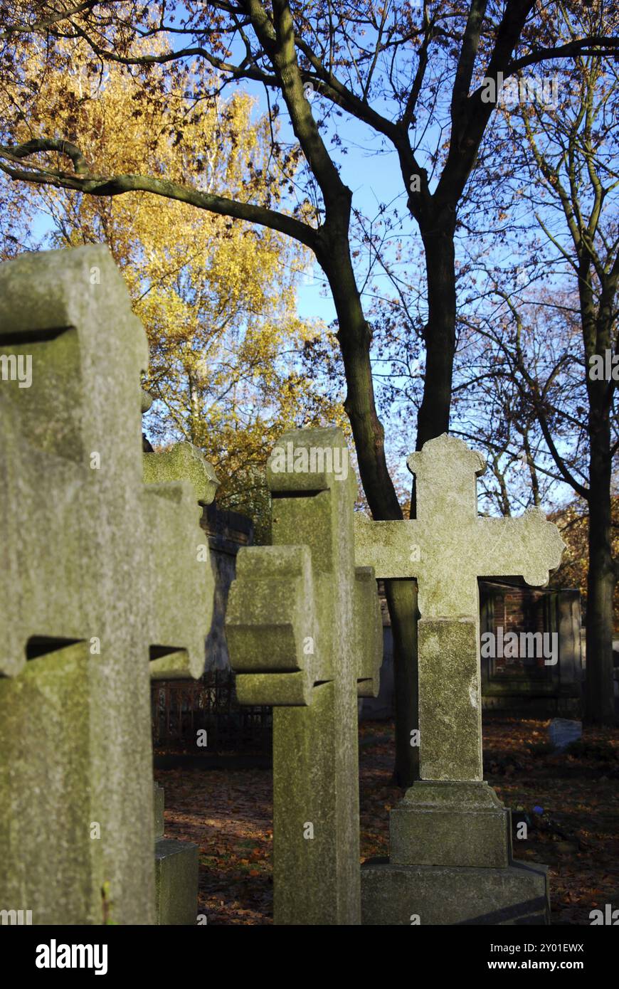Three tombstone crosses on a cemetery in berlin Stock Photo - Alamy