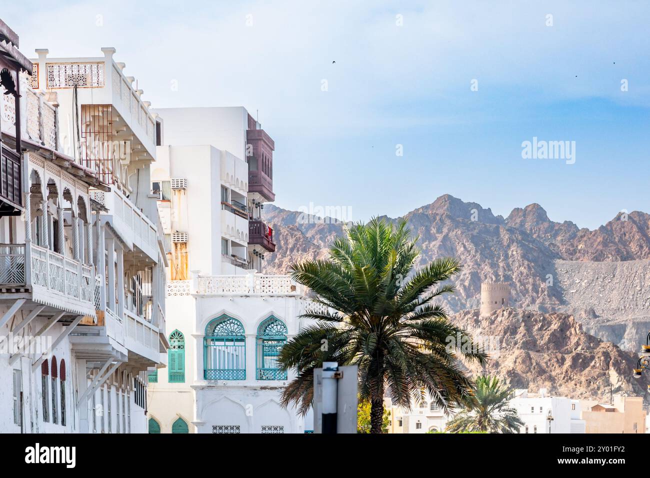 Traditional arab white buildings with decorated wooden windows and ...