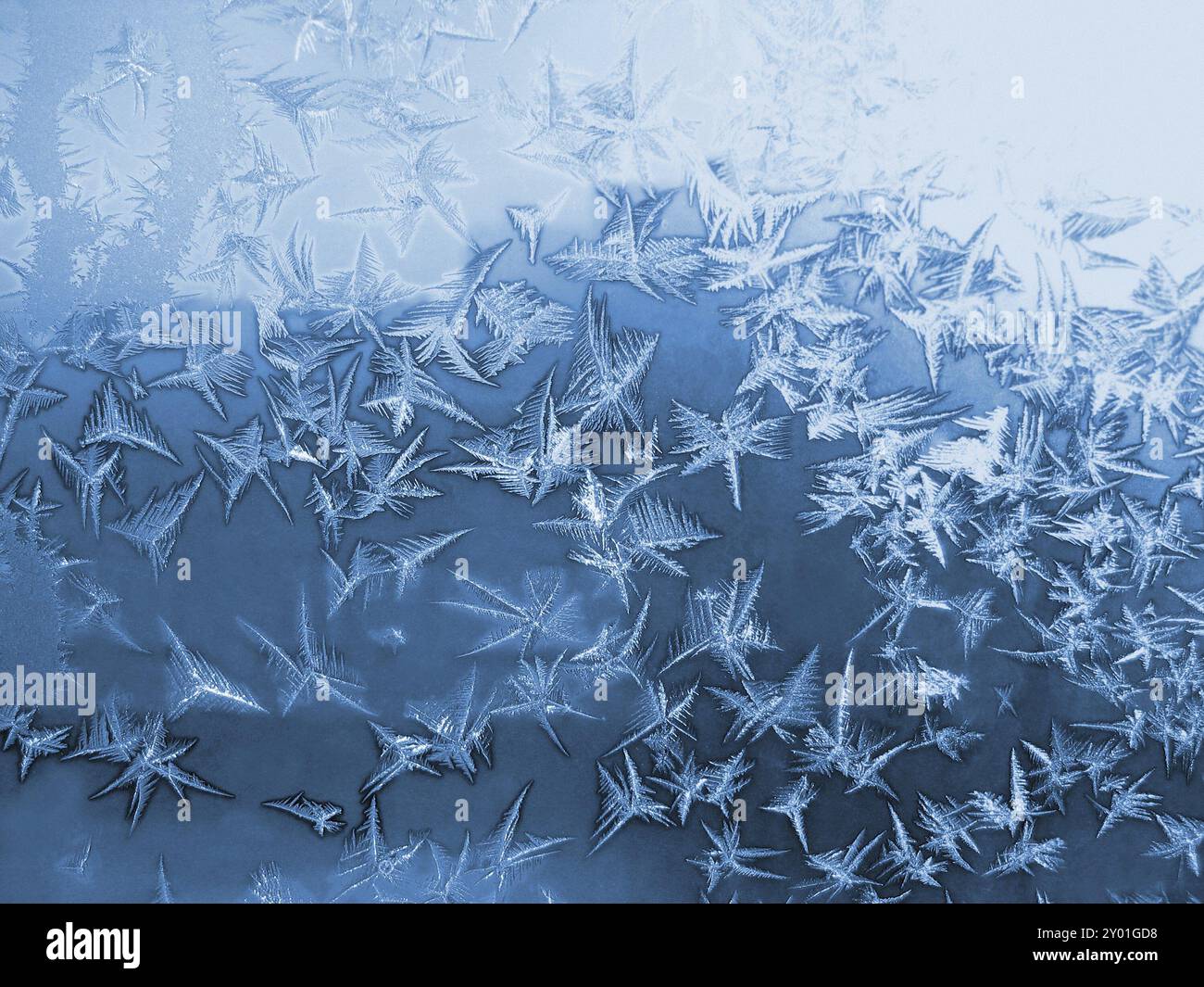Diamond window panes hi-res stock photography and images - Alamy